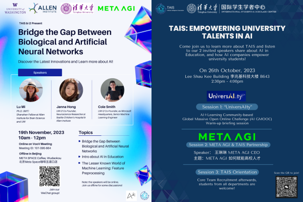 Tsinghua International AI Association
